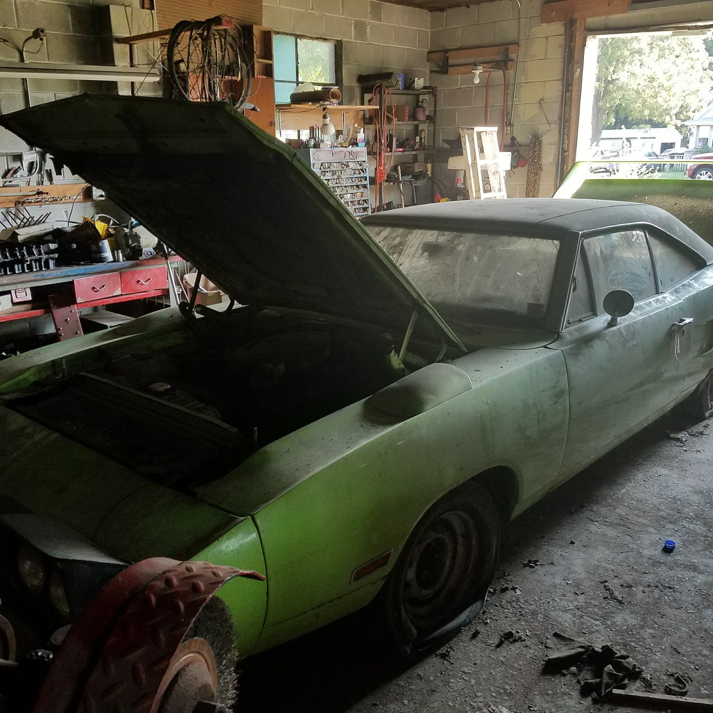 Meet The Flock – Jennings Wing Cars